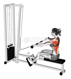 Remo con agarre ancho sentado en cable - Guía en Video | Lyfta