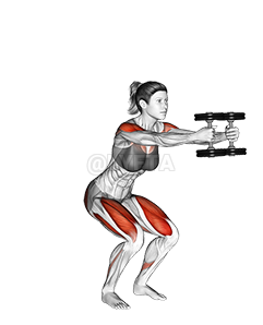 Dumbbell Iron Cross - Video Guide | Lyfta