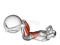 Leg Extension Crunch - Video Guide | Lyfta