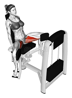 Lever Seated Hip Adduction - Video Guide | Lyfta