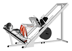 Sled 45 degrees Narrow Stance Leg Press - Video Guide | Lyfta