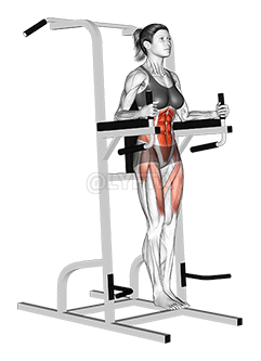 Vertical Leg Raise - Video Guide | Lyfta