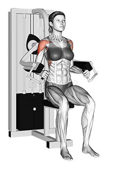 Lever Lateral Raise - Video Guide | Lyfta