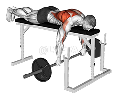 Barbell Lying Row on Rack - Video Guide | Lyfta