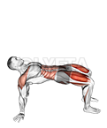 Reverse Plank with Leg Lift - Video Guide | Lyfta