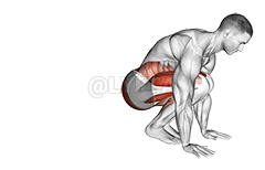 Squat Thrust - Video Guide | Lyfta