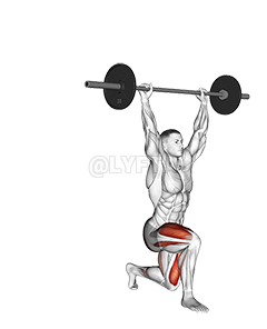 შტანგა ოვერჰედი - ვიდეო დირექტორია | Lyfta