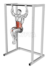 Colgando de rodillas a codos - Guía en Video | Lyfta