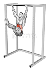 Hanging Toes to Bar - Video Guide | Lyfta