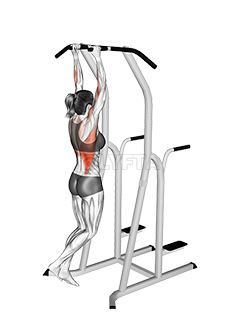 Hammer Grip Pull-up on Dip Cage - Video Guide | Lyfta