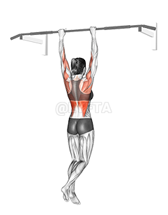 Shoulder Grip Pull-up - Video Guide | Lyfta