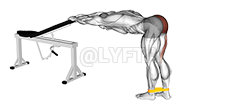 Resistance Band One Leg Kickback - Video Guide | Lyfta