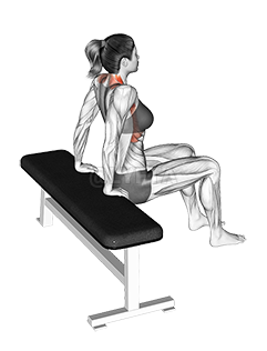 Scapula Dips - Video Guide | Lyfta