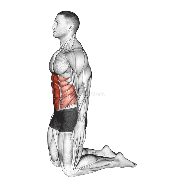 Backward Abdominal Stretch - Video Guide | Lyfta