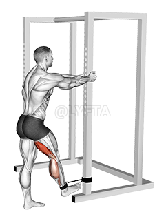 Band Standing Leg Curl - Video Guide | Lyfta