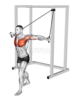 Band Low Chest Fly - Video Guide | Lyfta