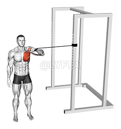Band Cross Body One Arm Chest Press - Video Guide | Lyfta