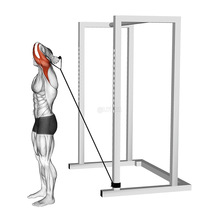Band Overhead Single Arm Triceps Extension - Video Guide | Lyfta