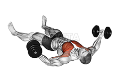 Dumbbell Floor Fly - Video Guide | Lyfta