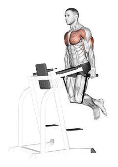 Band Assisted Dip - Video Guide | Lyfta