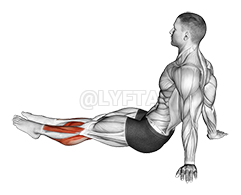 Voete en enkels rek - Video Gids | Lyfta