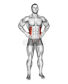 Middle Back Stretch - Video Guide | Lyfta