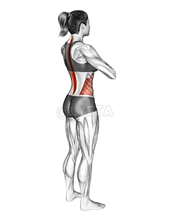 Standing Back Rotation Stretch - Video Guide | Lyfta