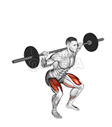 Sentadilla con barra 2 segundos Mantener - Guía en Video | Lyfta