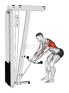 Cable Bent-Over Reverse Grip Row - Video Guide | Lyfta