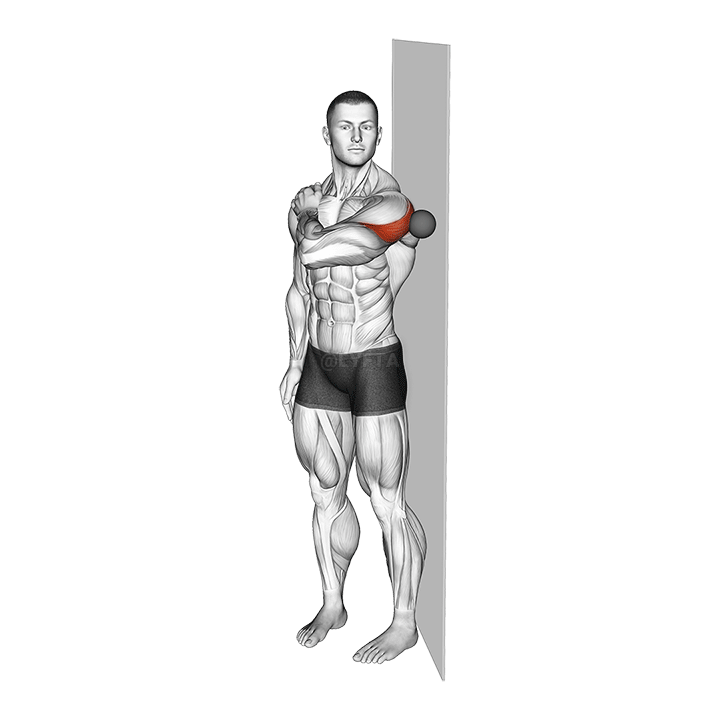 Roll Ball Deltoides Posterior - Guía en Video | Lyfta