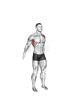 Dynamic Back Stretch - Video Guide | Lyfta