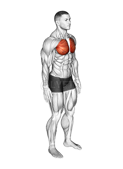 Elbows Back Stretch - Video Guide | Lyfta