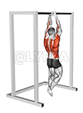 Commando Pull-up - Video Guide | Lyfta